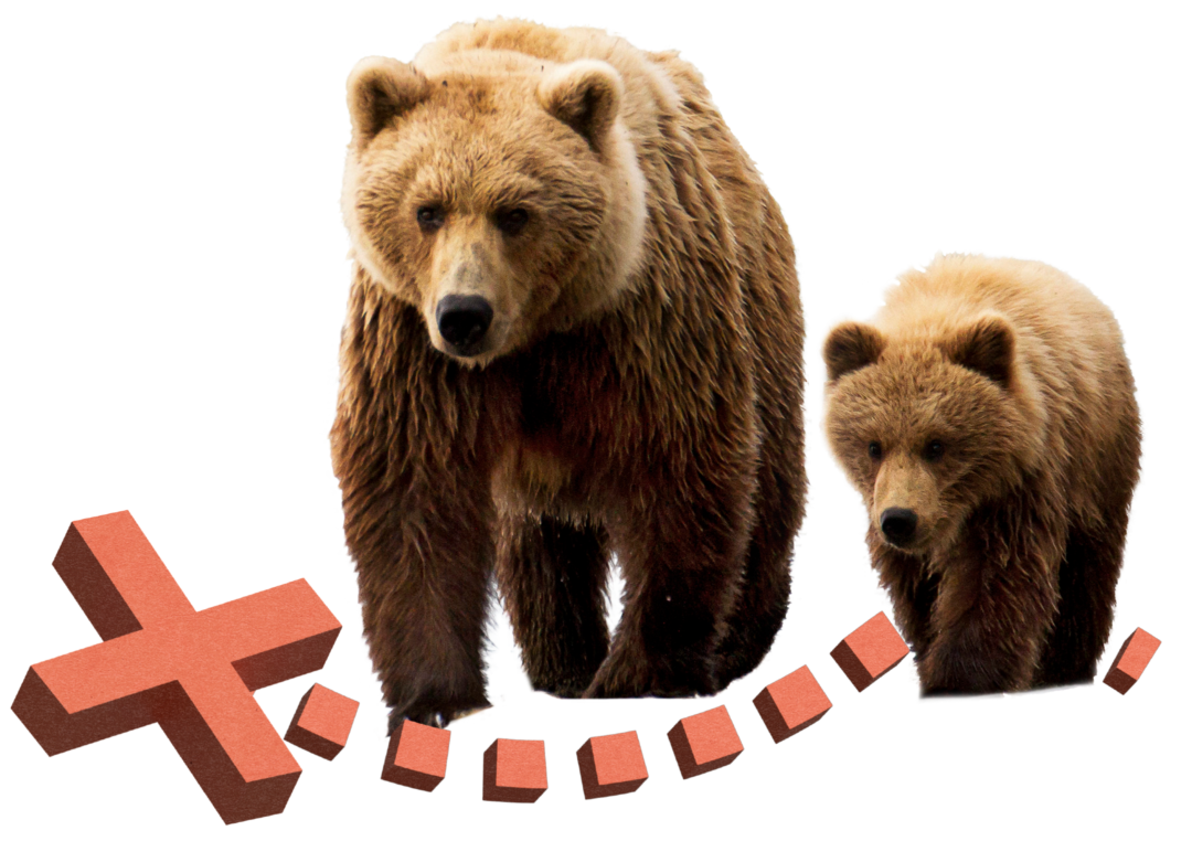 Our Position Statement - Friends of the North Cascades Grizzly Bear